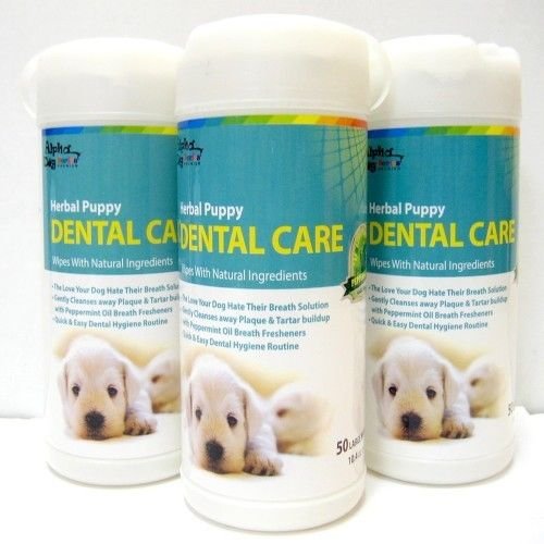 Alpha Dog Series Dental Wipes (Pack of 3)