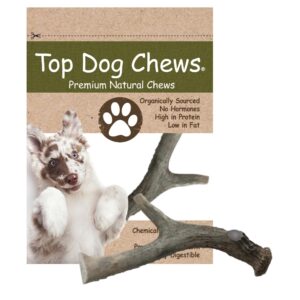 top dog chews large 6"-9" long -antler dog chew from single antler