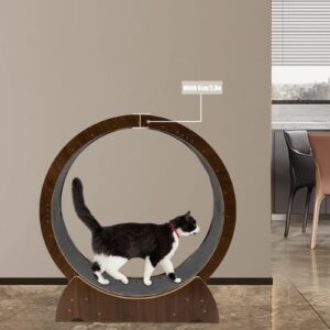 39.3in cat exercise wheel, large cat treadmill with silent carpeted runway, kitty pet sport furniture toy, fitness weight loss device for indoor cats (39.3 * 11.8 * 42.1in)