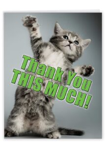 nobleworks - jumbo thank you card with envelope (8.5 x 11 inch), animal notecard, thankful friend - this much kitten j3612