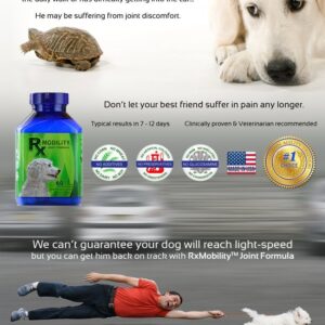 RxMobility Botanical Hip & Joint Supplement with Cissus Quadrangularis - All Natural Formula for Fast Working Pain Relief & Maximum Mobility - for Dogs