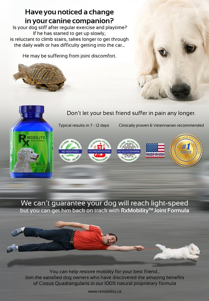 RxMobility Botanical Hip & Joint Supplement with Cissus Quadrangularis - All Natural Formula for Fast Working Pain Relief & Maximum Mobility - for Dogs