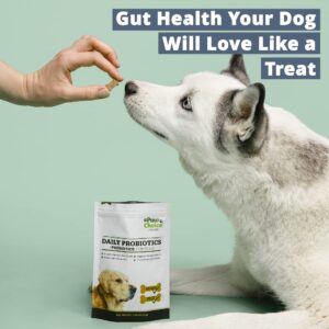 Paw Choice Probiotics for Dogs with Prebiotics - Daily Chews for Digestion, Regularity, Diarrhea Relief, Plus Supports Immune System and Health - Natural Supplement and Treat Made in USA