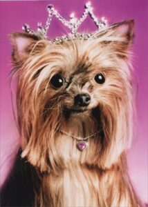 yorkie princess dog birthday card