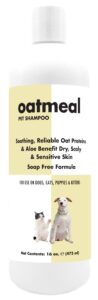 itch relief oatmeal and aloe pet shampoo 16 oz. for dogs & cats | anti-itch & deodorizing formula | soothe and moisturize dry itchy sensitive skin