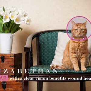 PETBABA Cat Cone Collar, to Stop Licking, Recovery Elizabethan After Surgery, Clear Soft Neck E-Collar, Not Block Vision, for Kitten Puppy Dog Pet in Surgery Remedy - S in Rose