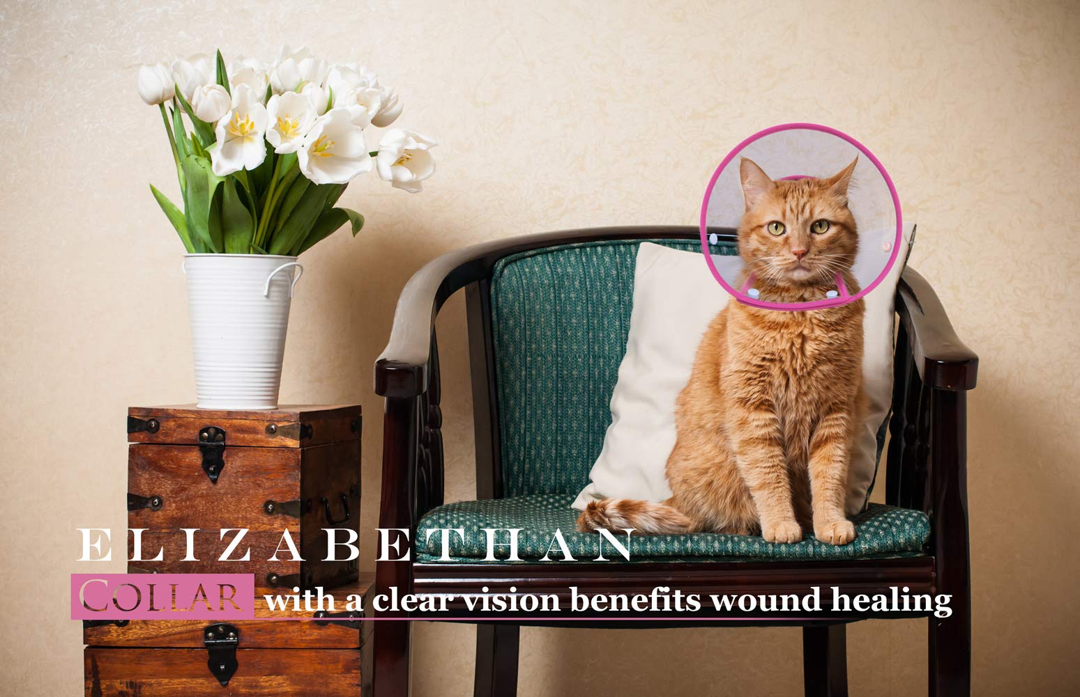 PETBABA Cat Cone Collar, to Stop Licking, Recovery Elizabethan After Surgery, Clear Soft Neck E-Collar, Not Block Vision, for Kitten Puppy Dog Pet in Surgery Remedy - S in Rose