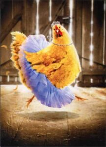 chicken in tutu avanti funny birthday card