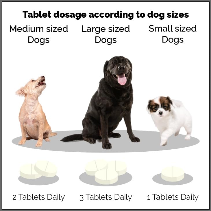 Artri-tabs Complex Dietary Supplement by Interfarma Corp | Cartilage Protection, Reduce Inflammation, & Joint Support for Dogs | with Glucosamine, Collagen, & MSM | Beacon Flavor | 60 Tablets.