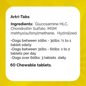 Artri-tabs Complex Dietary Supplement by Interfarma Corp | Cartilage Protection, Reduce Inflammation, & Joint Support for Dogs | with Glucosamine, Collagen, & MSM | Beacon Flavor | 60 Tablets.