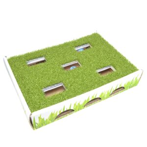 catstages grass patch hunting box cat toy