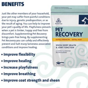 PURICA Pet Recovery Extra Strength - Joint Support for Cats & Dogs - Glucosamine - Vitamins for Joint Health. Suitable for Small & Large Breeds - Transform Your Pet's Well-Being with 1Kg Powder