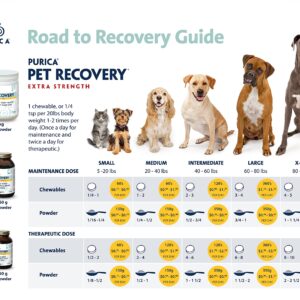 PURICA Pet Recovery Extra Strength - Joint Support for Cats & Dogs - Glucosamine - Vitamins for Joint Health. Suitable for Small & Large Breeds - Transform Your Pet's Well-Being with 1Kg Powder