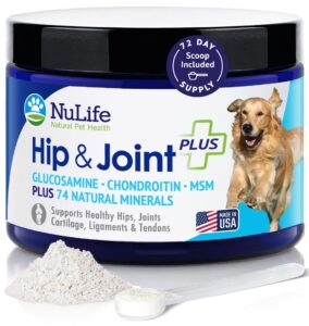 advanced glucosamine powder for dogs for arthritis pain relief & hip dysplasia, supports joint health & reduces inflammation with glucosamine, chondroitin, msm & coral calcium, 6oz powder