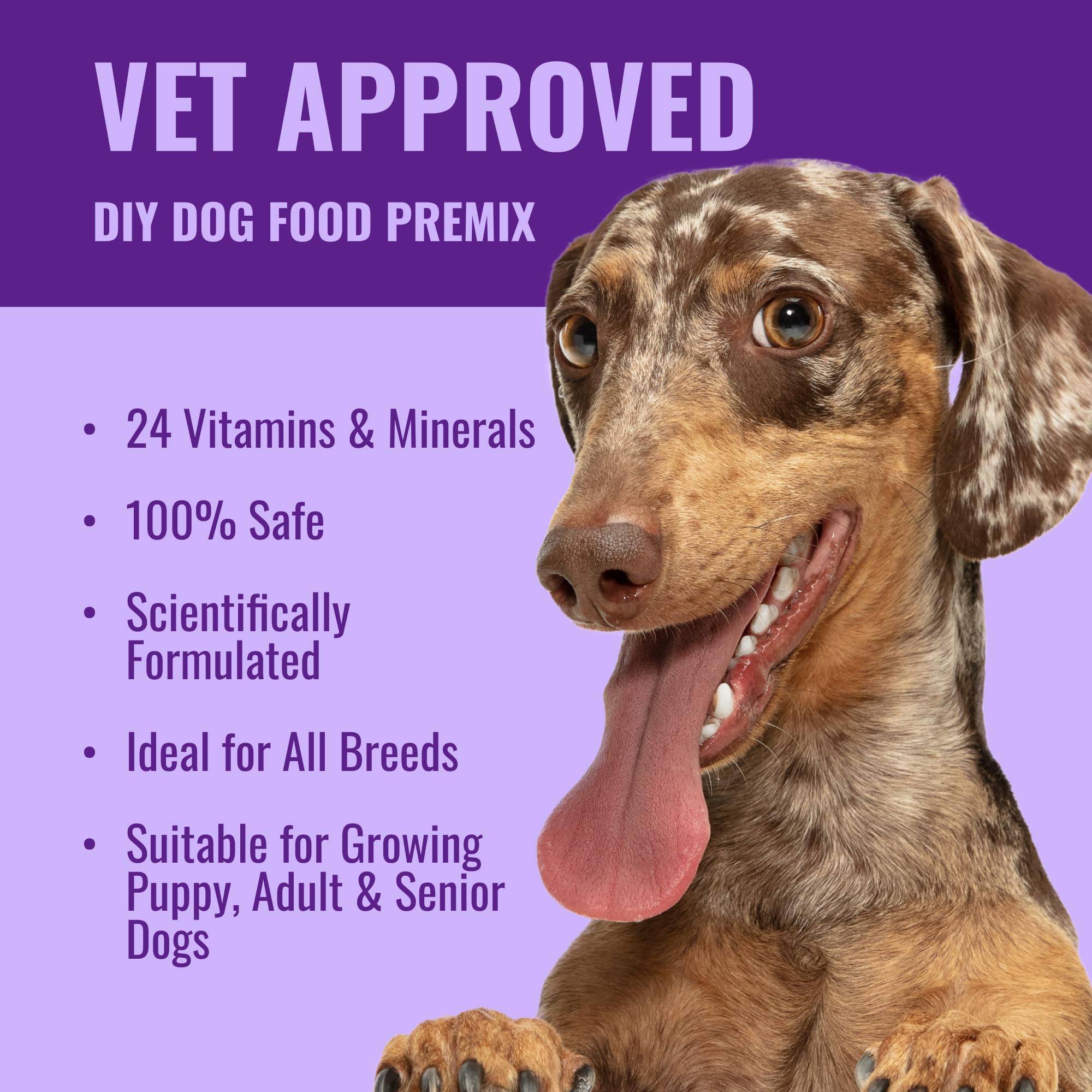 Azestfor Homemade Dog Food Supplement Dog Vitamins Made in USA Add to Holistic Whole Food Diets Raw BARF All Breeds Puppy Adult 16oz Powder