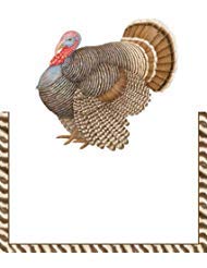 thanksgiving placecards thanksgiving dinner table decorations thanksgiving table decor turkey pk 16