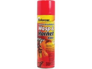 enforcer wasp & hornet killer