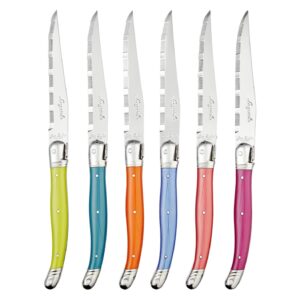 jean dubost laguiole stainless steel steak knife set with multi color handles in a wood knife block