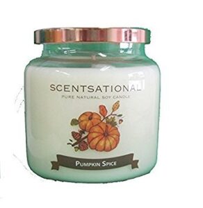 scentsational soaps & candles "pumpkin spice" natural soy candle w/lid 19 oz