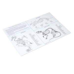 Carolina Owl Pellet Dissection Mat