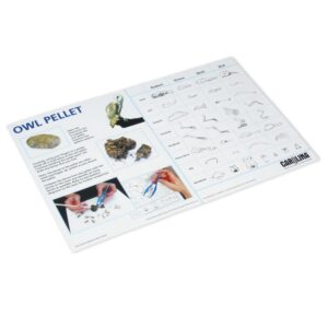 carolina owl pellet dissection mat