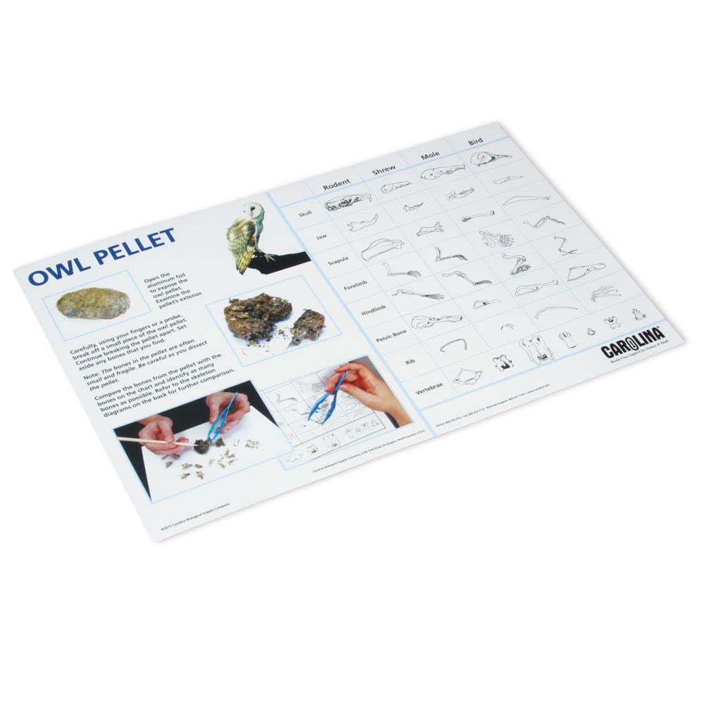 Carolina Owl Pellet Dissection Mat