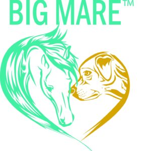 Big Mare Canine Wound Lotion Antibacterial/Antifungal. Clinically Proven Effective for Hot Spots, Open Wounds, Stitches, Yeast, Flea Irritation, Bug Bites & More. Veterinary Approved & Recommended