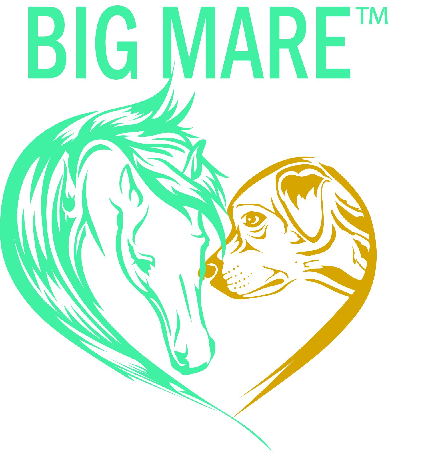 Big Mare Canine Wound Lotion Antibacterial/Antifungal. Clinically Proven Effective for Hot Spots, Open Wounds, Stitches, Yeast, Flea Irritation, Bug Bites & More. Veterinary Approved & Recommended