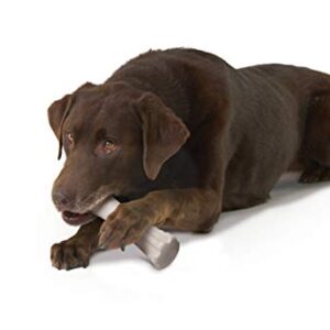 Petstages Deerhorn Antler Alternative Dog Chew Toy, Large