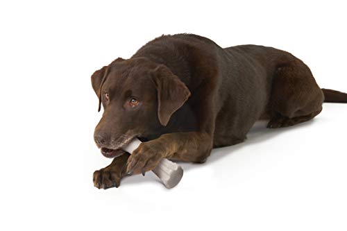 Petstages Deerhorn Antler Alternative Dog Chew Toy, Large