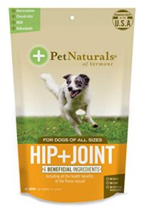 pet naturals - hip + joint for dogs, daily joint support supplement, 60 bite-sized chews (070089e.060)