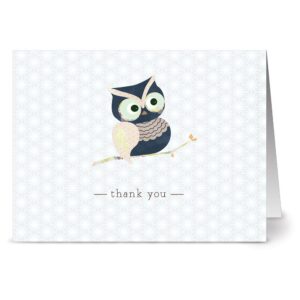 note card cafe thank you cards with kraft envelopes | 24 pack | woodland owl | blank inside, glossy finish | for greeting cards, occasions, birthdays, gifts