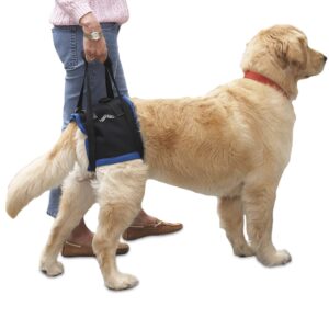 walkabout back end harness, dog and cat lifting aid for pets needing assistance with walking/mobility - a dog support harness for back legs (xlarge 32-36" abdomen)