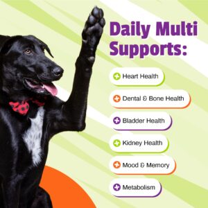 Pet Naturals Daily Multivitamin for Dogs, Veggie Flavor, 30 Chews - Yummy Chews with Amino Acids, and Antioxidants - Supports Energy, Metabolic Function and Pet Wellness