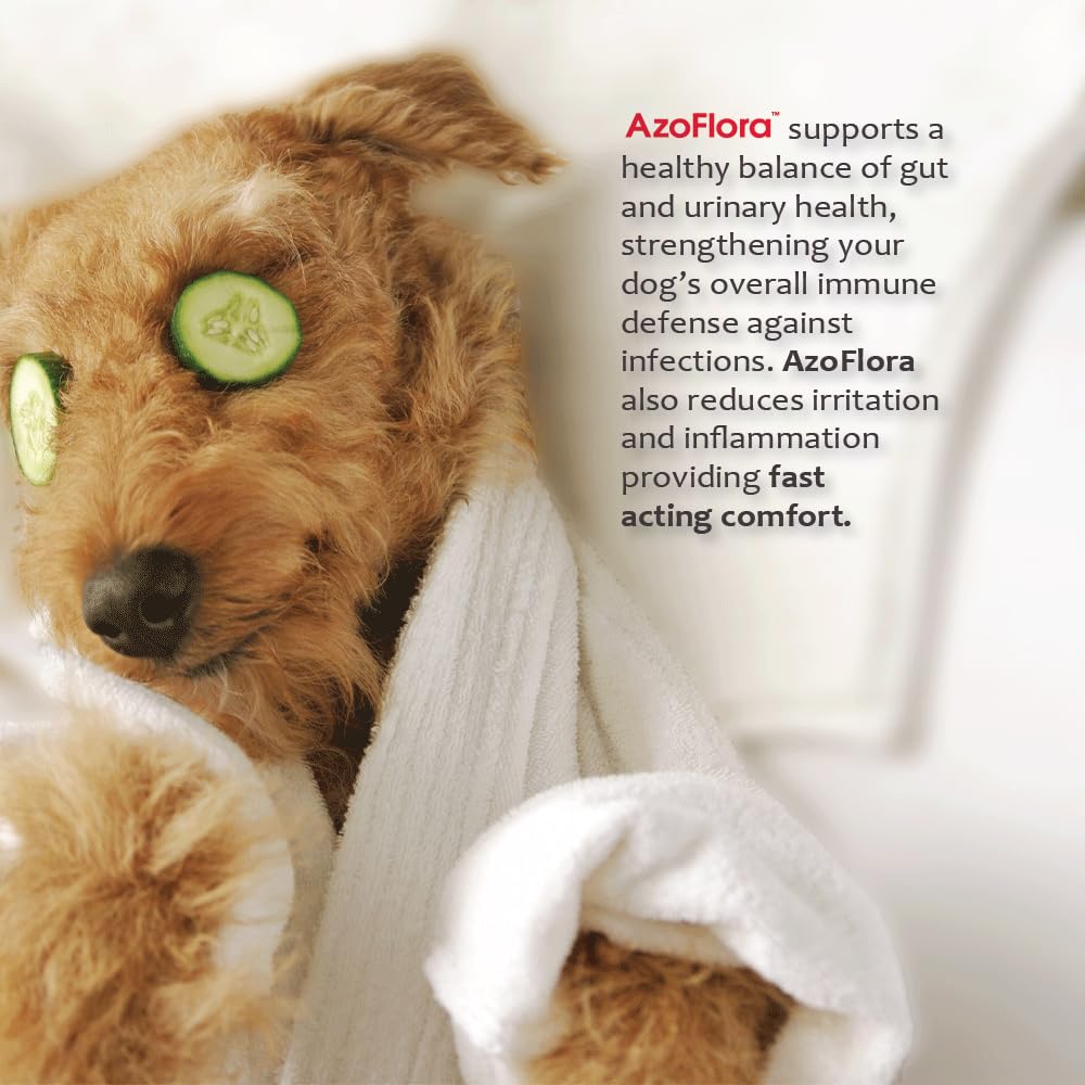 Azoflora Supplement for Healthy Kidneys for Dogs - Enhances Renal Function - Support Healthy Urinary Tract, Easy to Administer, No Refrigeration Required, Chicken Flavor - 90 Soft Chews