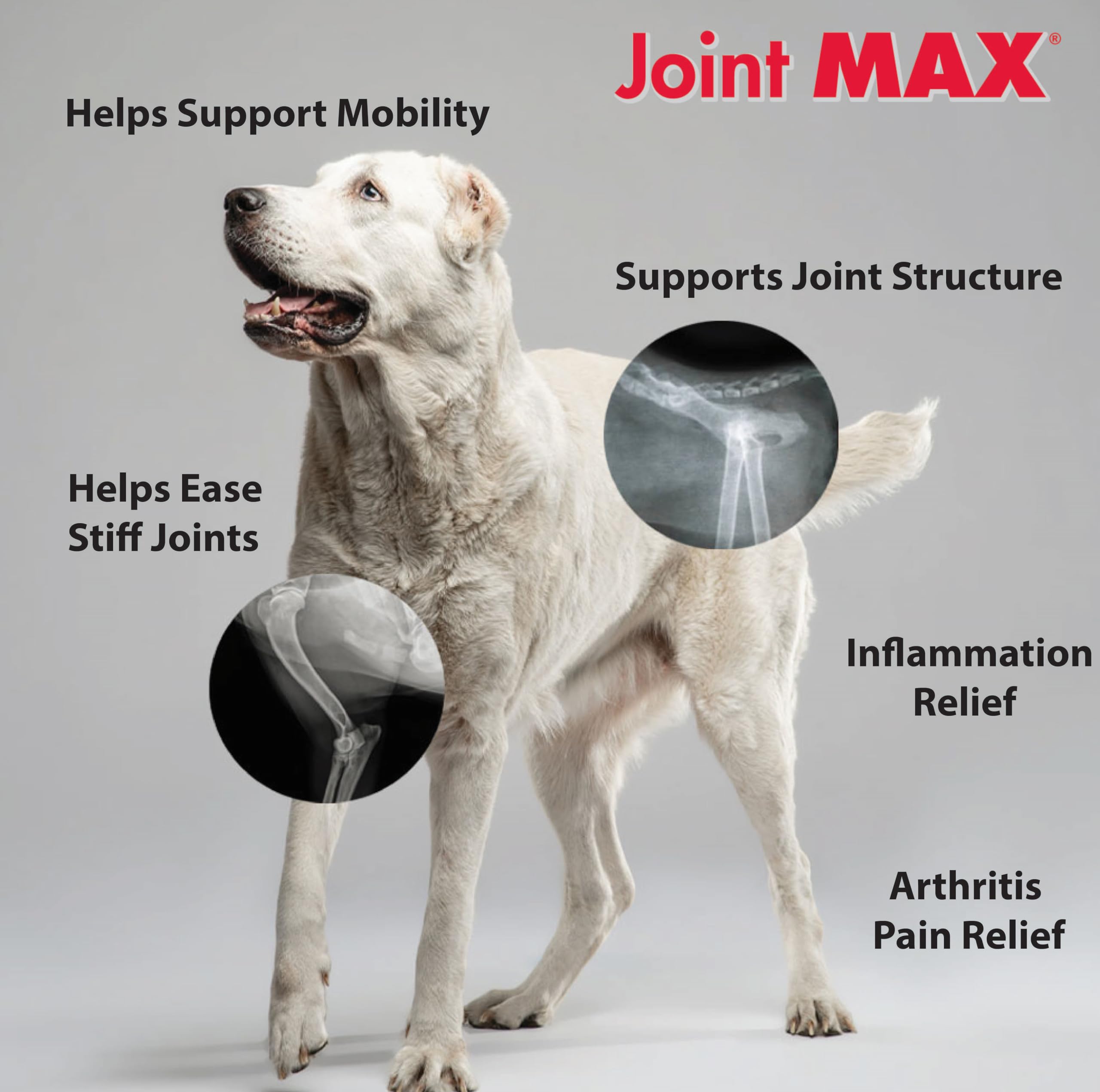 Joint MAX Triple Strength Hypo-Allergenic Soft Chews for Dogs - Hip and Joint Support Supplement with Glucosamine, Chondroitin, & MSM - Made in The USA - 120 Soft Chews