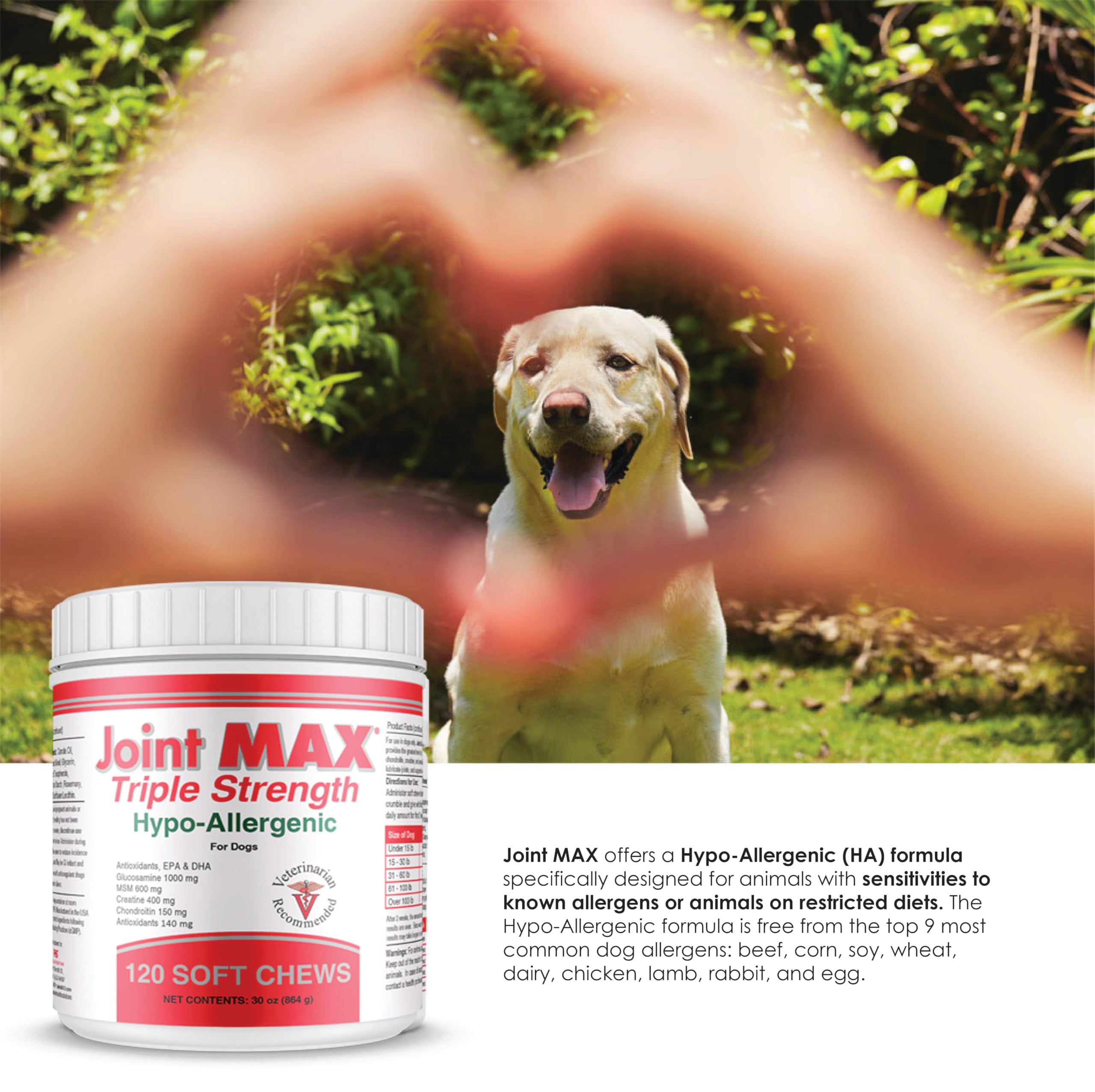 Joint MAX Triple Strength Hypo-Allergenic Soft Chews for Dogs - Hip and Joint Support Supplement with Glucosamine, Chondroitin, & MSM - Made in The USA - 120 Soft Chews