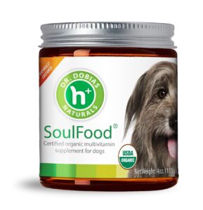 soulfood multivitamin — certified organic multi-vitamin for dogs. naturally cultured and whole-food based, up to 3 months supply.