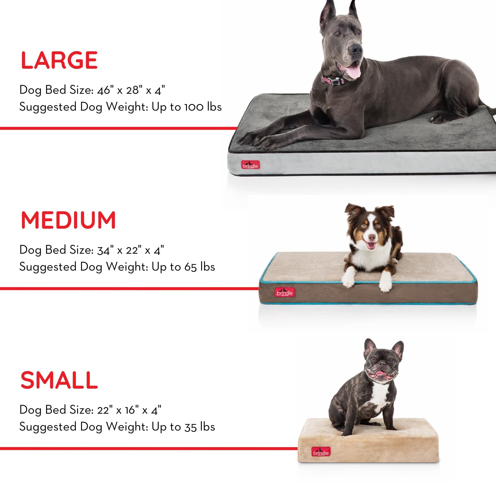 BRINDLE Waterproof Memory Foam Pet Bed - Removable and Washable Cover - 4 Inch Orthopedic Dog and Cat Bed - Fits Most Crates