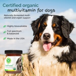 SoulFood Multivitamin — Certified organic multi-vitamin for dogs. Naturally cultured and whole-food based, up to 3 months supply.