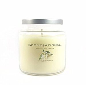 scentsational junglegardenia candle, jar, ivory