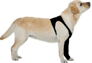 suitical recovery sleeve for dogs | front leg protection after surgery | dog leg sleeve to stop licking | machine washable | chest circumference 25.2”- 33.1” | sleeve length 13.8” | l | single sleeve