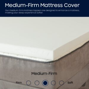 Spring Coil 2-Inch High Density Foam Topper,Adds Comfort to Mattress, Twin Size