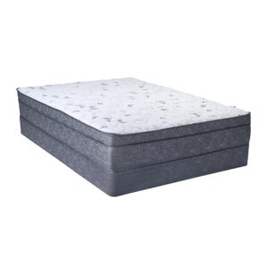 Spring Coil 13-Inch Extra Firm Foam Encased Eurotop Hybrid Mattress & 8" Wood Traditional Box Spring/Foundation Set, Queen, Black