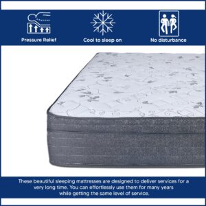 Spring Coil 13-Inch Extra Firm Foam Encased Eurotop Hybrid Mattress & 8" Wood Traditional Box Spring/Foundation Set, Queen, Black