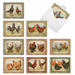 the best card company - boxed set of 10 bird thank you notecards with envelopes 4 x 5.12 inch, feathered animal gratitude - card-a-doodle-do m2351tyg