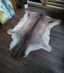 robert tartufferie fallow deer skin fur hide pelt rug taxidermy hunting trophy