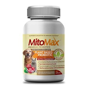 mitomax cranberry 90 count probiotic supplement for urinary health of dogs and cats