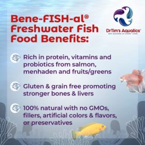 DrTim's Aquatics Bene-Fish-al® Freshwater Fish Food - Single-Pack 0.88 oz. Pouch