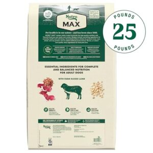 NUTRO MAX Adult Recipe Dry Dog Food With Farm Raised Lamb, 25 LB Bag